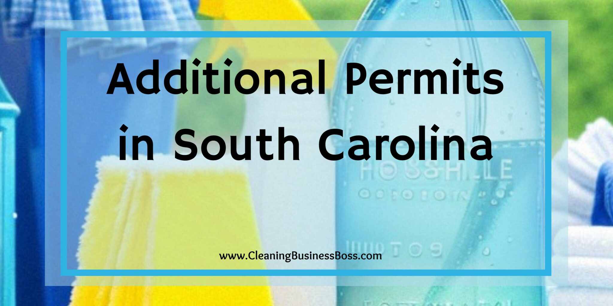 How to Get Your Cleaning Business License in South Carolina? - Cleaning ...