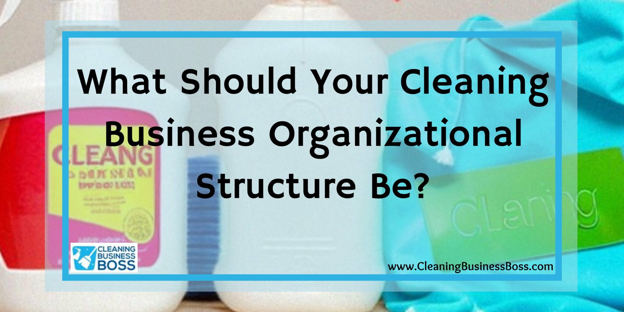 What Should Your Cleaning Business Organizational Structure Be ...