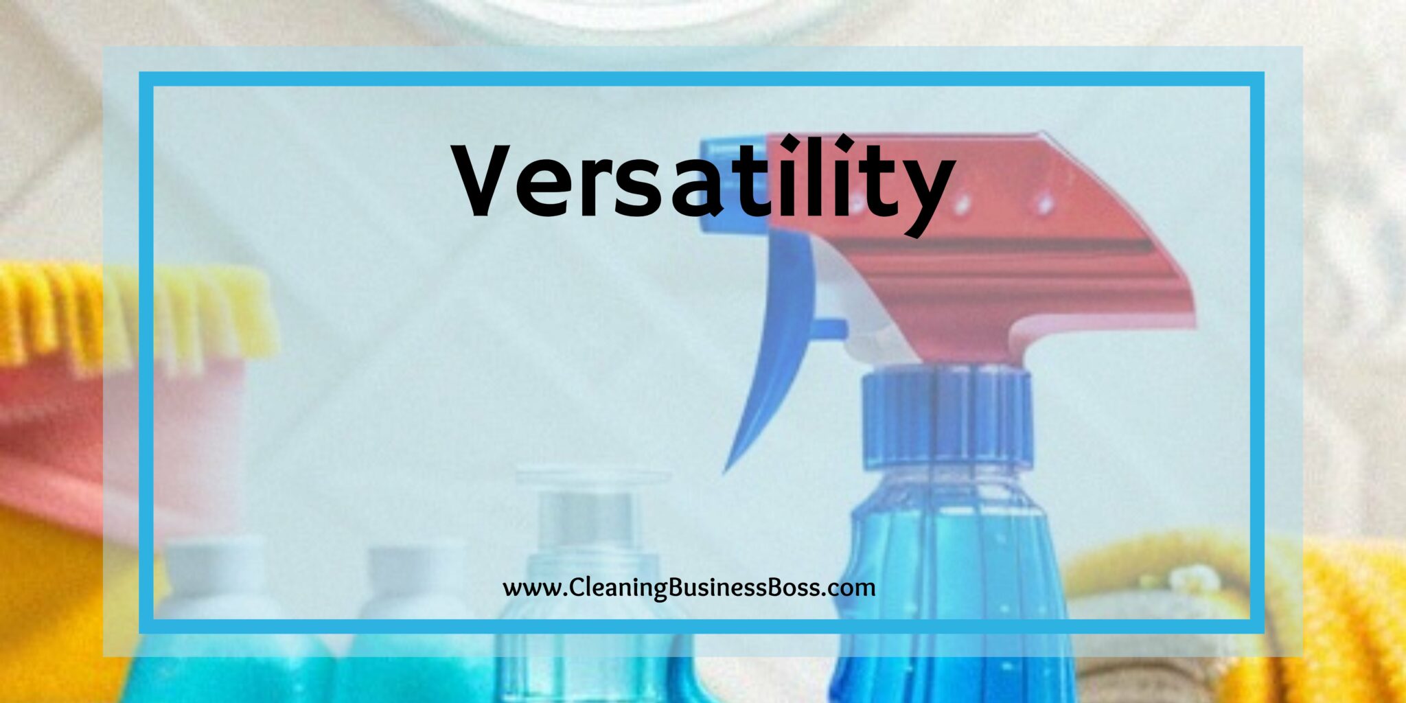 What Skills Do You Need To Be A Cleaner For A Cleaning Business ...